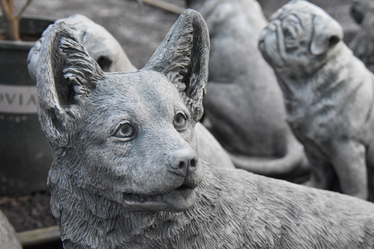 St. Roch:Patron Saint of Dogs & Epidemics – caninescribbles